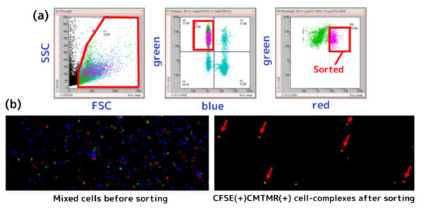 Cell Sorting | On-chip Biotechnologies