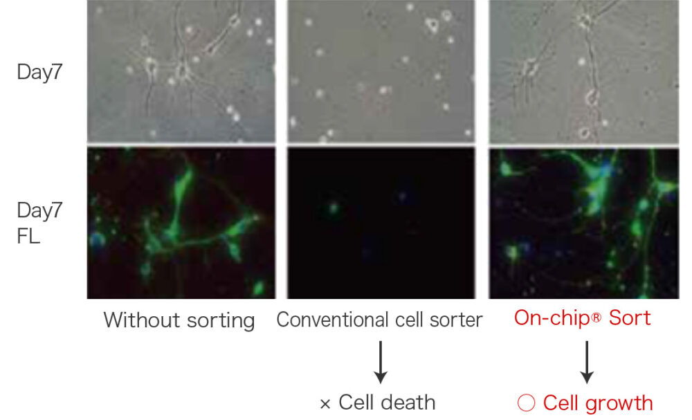 Cell Sorting | On-chip Biotechnologies