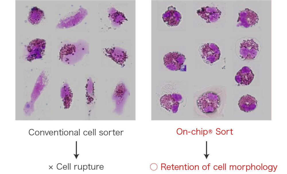 Cell Sorting | On-chip Biotechnologies