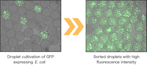 Droplet | On-chip Biotechnologies