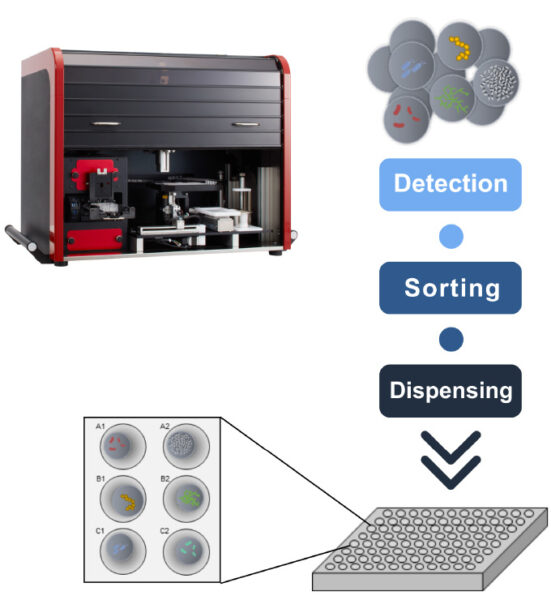 On-chip Droplet Selector | On-chip Biotechnologies